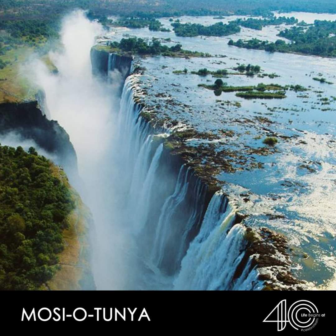 ZIM@40 – Mawazo Brand Development