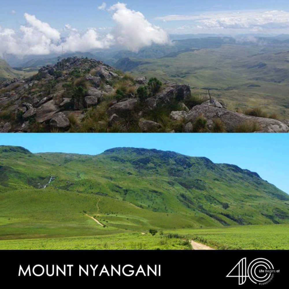 ZIM@40 – Mawazo Brand Development